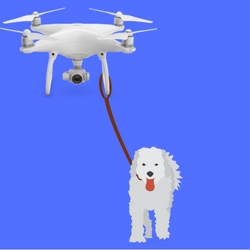 A Drone Walking Your Dog?