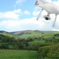 Drones Can Save an Entire Forest from the Sky