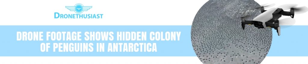 Incredible Drone Footage Shows Hidden Colony of Penguins in Antarctica