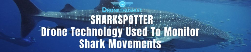 Drone Technology Used To Monitor Shark Movements