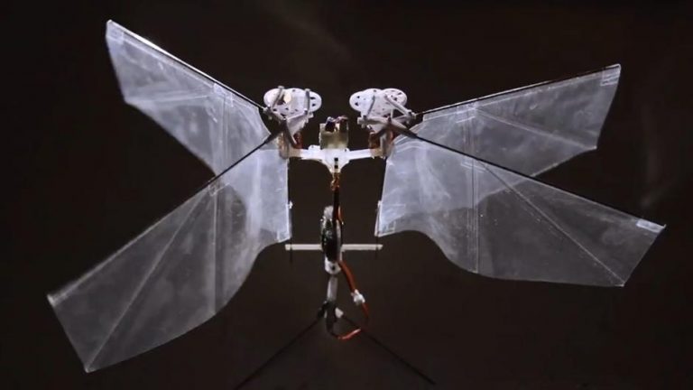 See The Drone That Flaps Its Wings Like An Insect