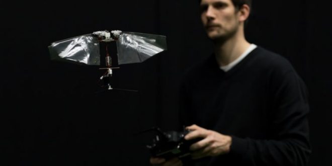 See The Drone That Flaps Its Wings Like An Insect