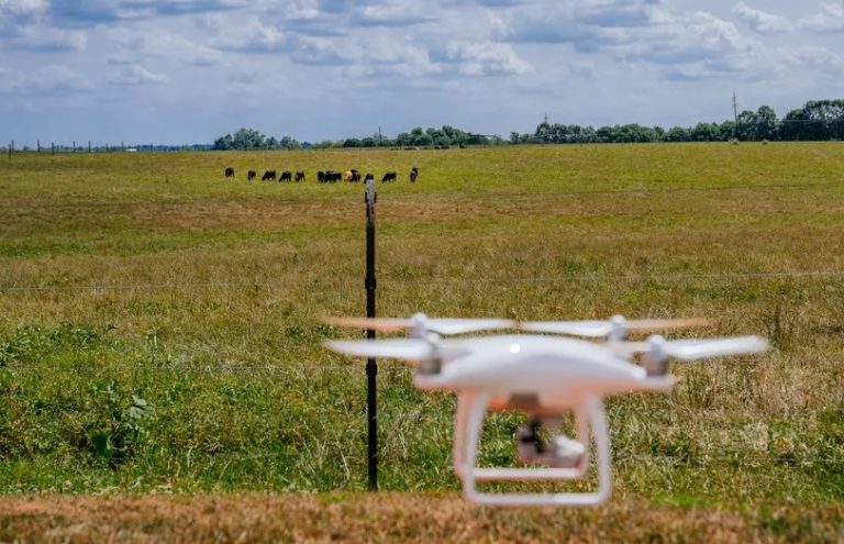 Drones and Cows? How Drones Are Changing The Cattle Industry